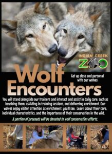 Encounters – Indian Creek Zoo