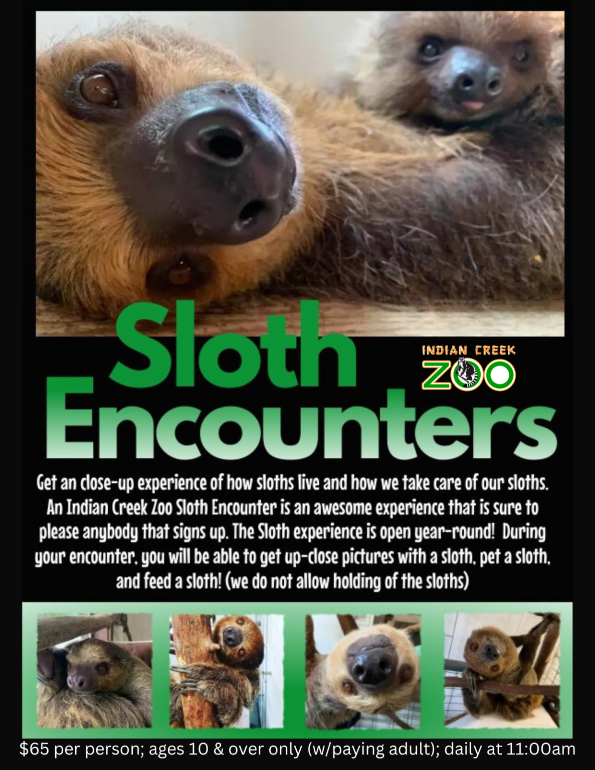 Encounters – Indian Creek Zoo